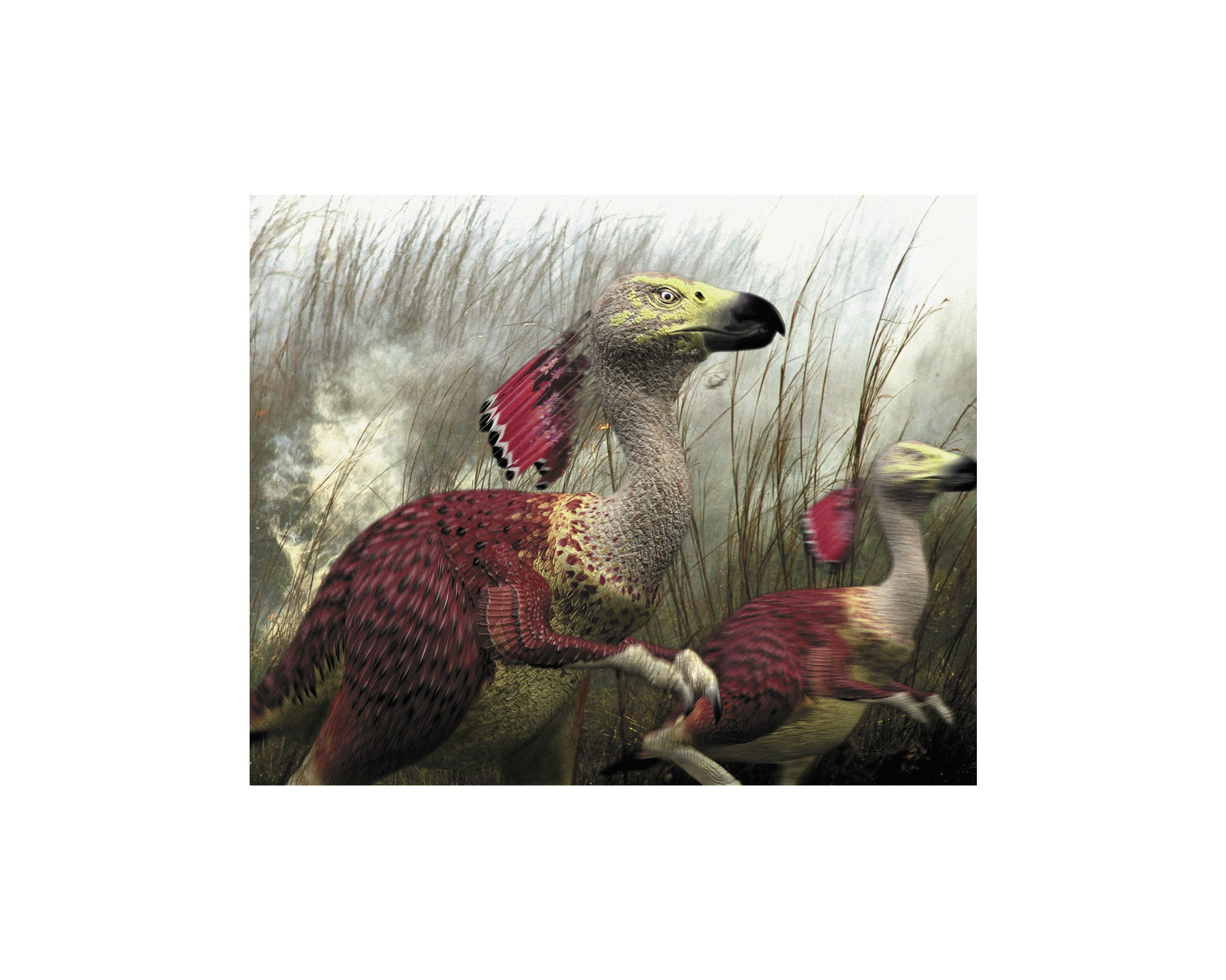 5 lessons from The future is wild's creator Joanna Adams