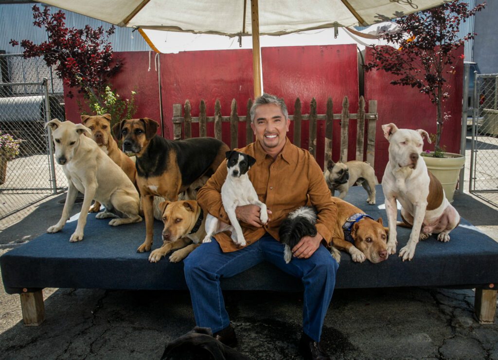 Whispering Out Loud: How Radar turn iconic TV series into powerful ...